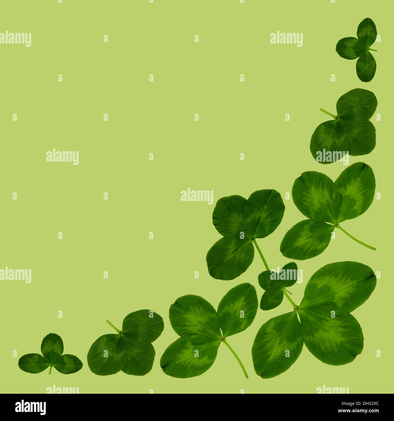 Grünes muster hi-res stock photography and images - Alamy