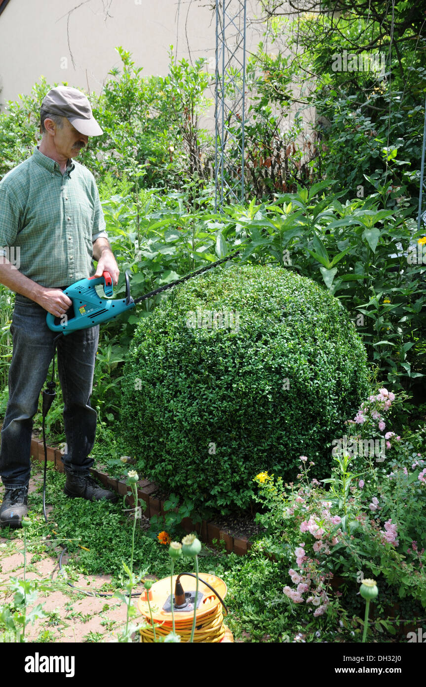 Shaping tree hi-res stock photography and images - Alamy