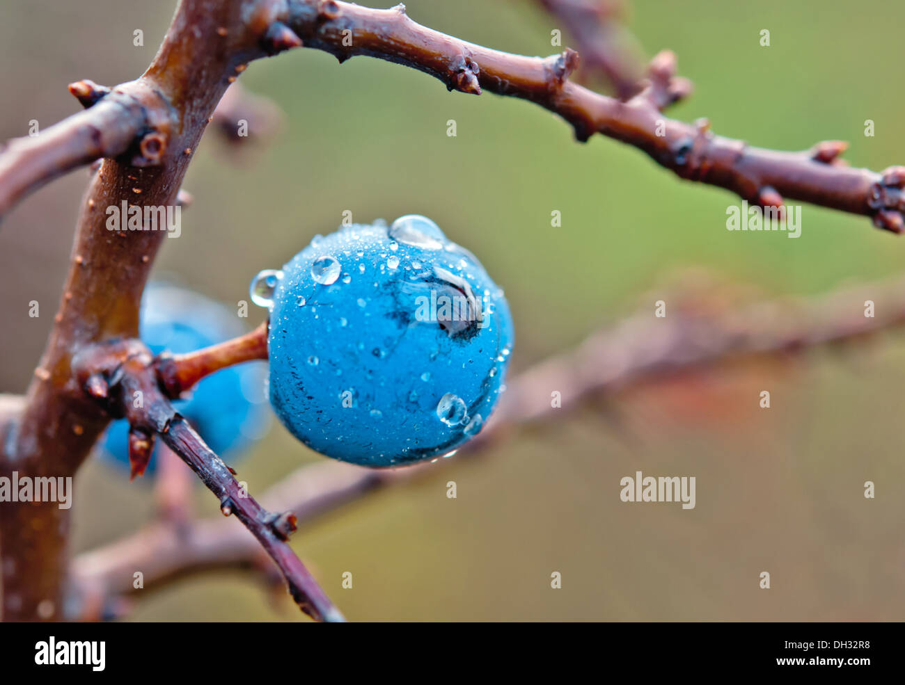 Scattered water drop hi-res stock photography and images - Alamy