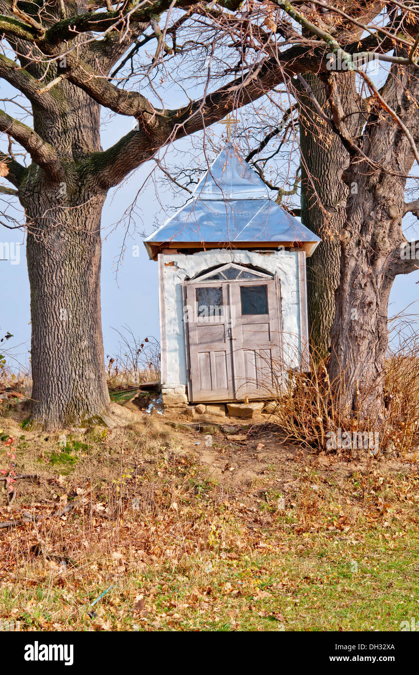An old, small wooden church among old oak trees Stock Photo - Alamy
