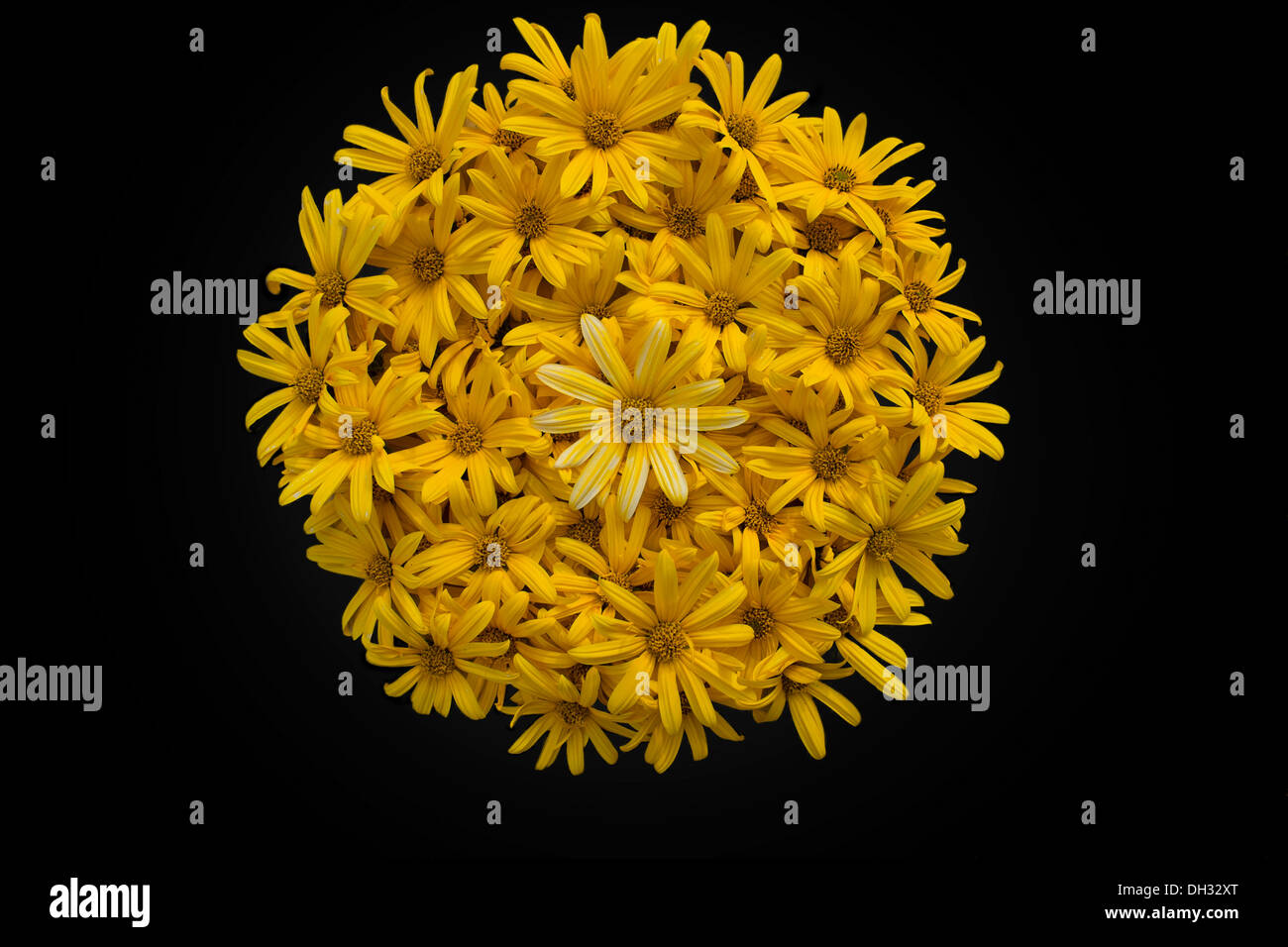 Nature and flow hi-res stock photography and images - Alamy