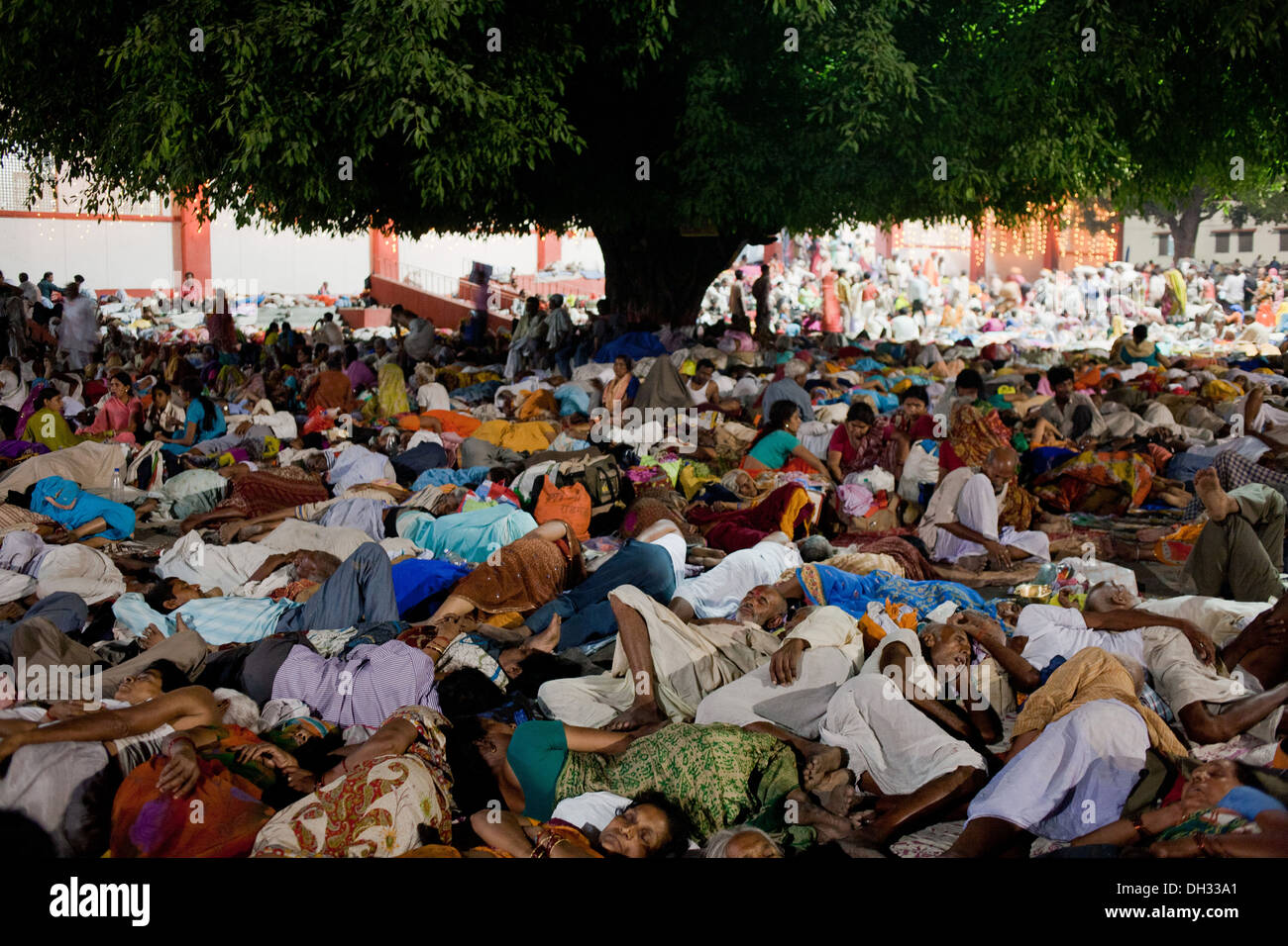 crowd of people resting sleeping under large tree Kumbh Mela Haridwar ...