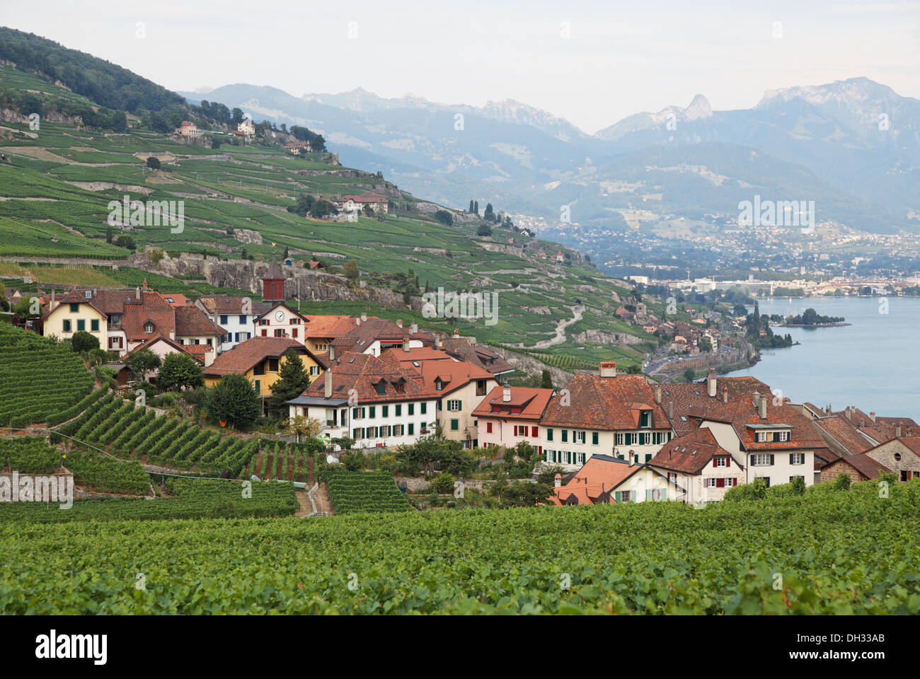 Switzerland, Lavaux Vineyard Terraces, UNESCO World Heritage Site ...