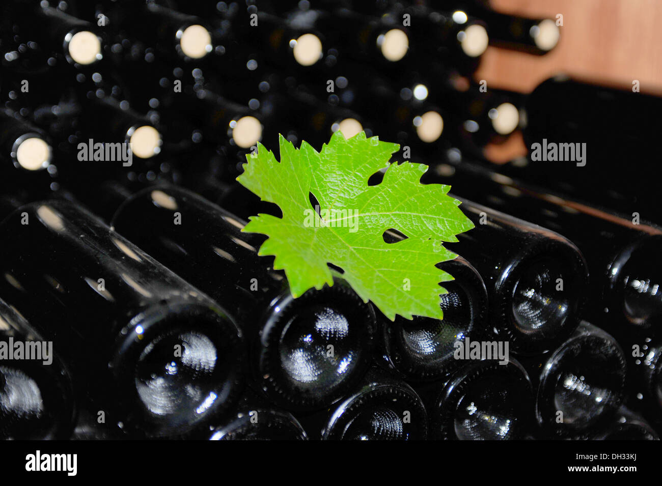 Old bottles of red wine Stock Photo - Alamy