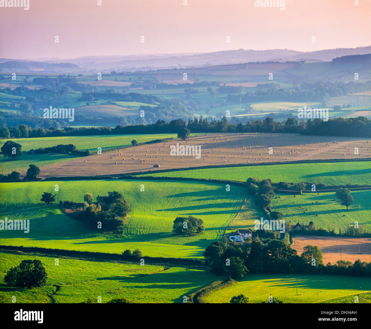 Bicknoller hill hi-res stock photography and images - Alamy