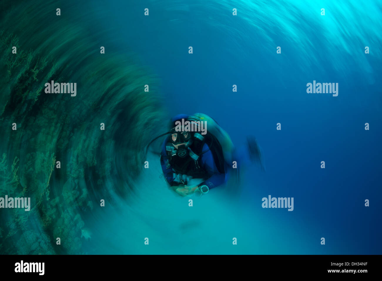 Scuba Diver, Marsa Shagra, Red Sea, Egypt Stock Photo - Alamy