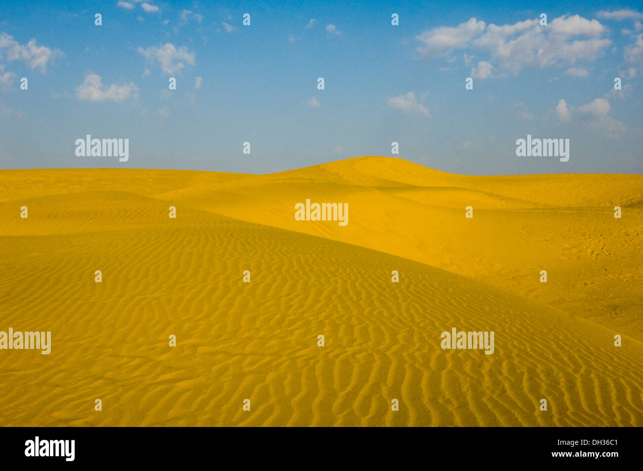 Panoramic view of desert, Sam Desert, Jaisalmer, Rajasthan, India Stock ...