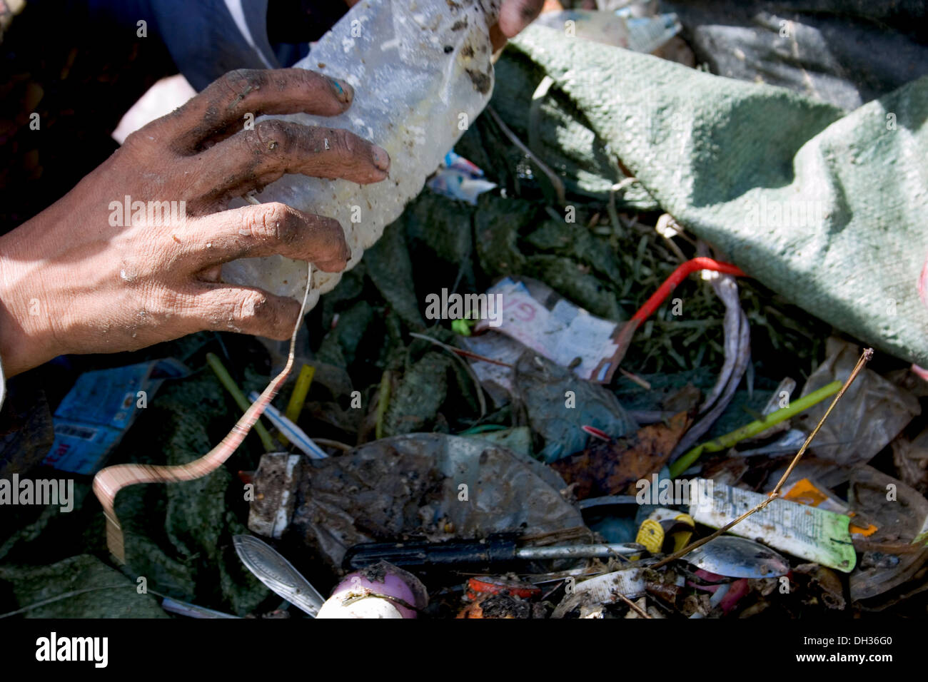 A woman is sorting garbage with at a garbage recycling depot near a ...