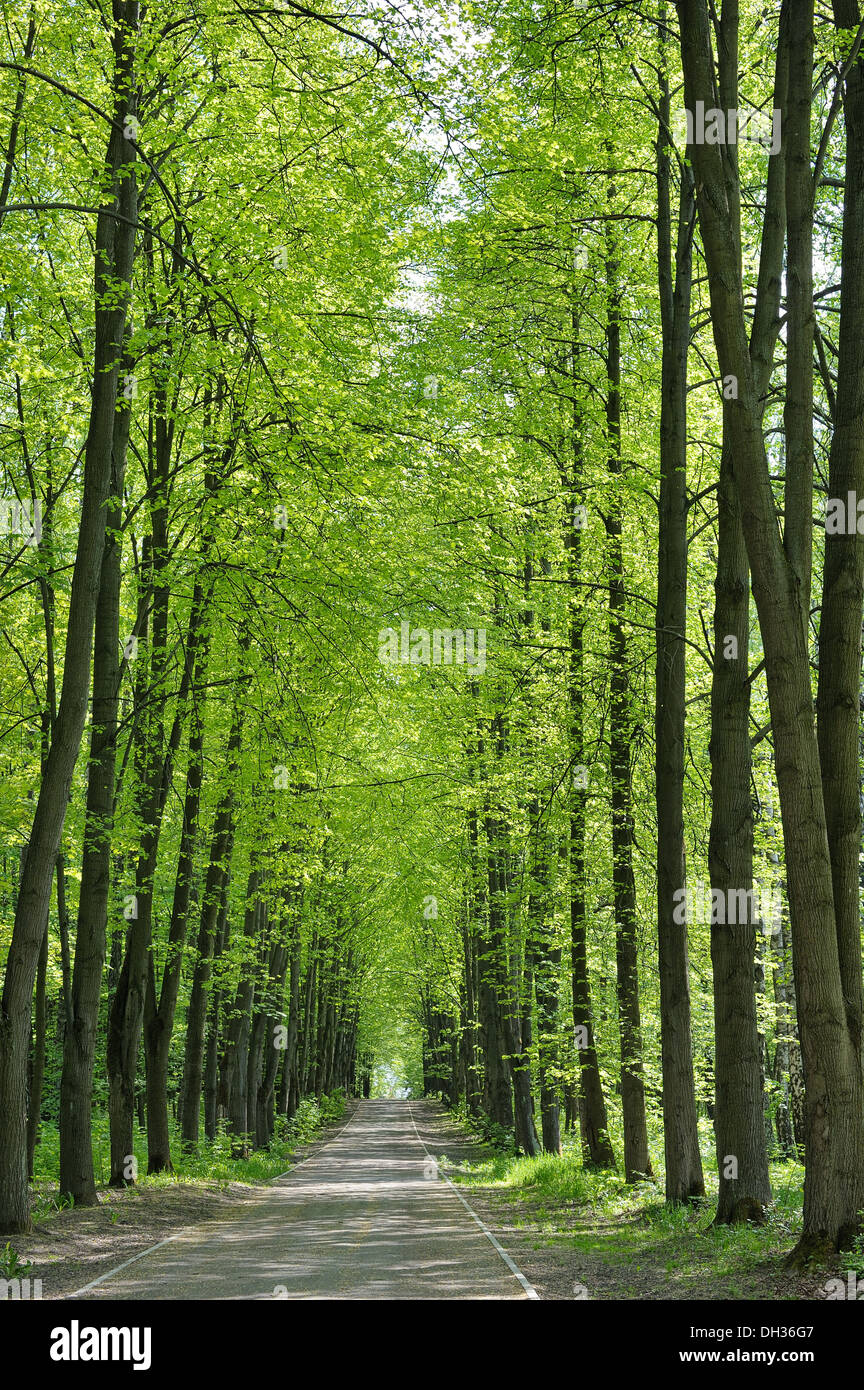 Alley april hi-res stock photography and images - Alamy