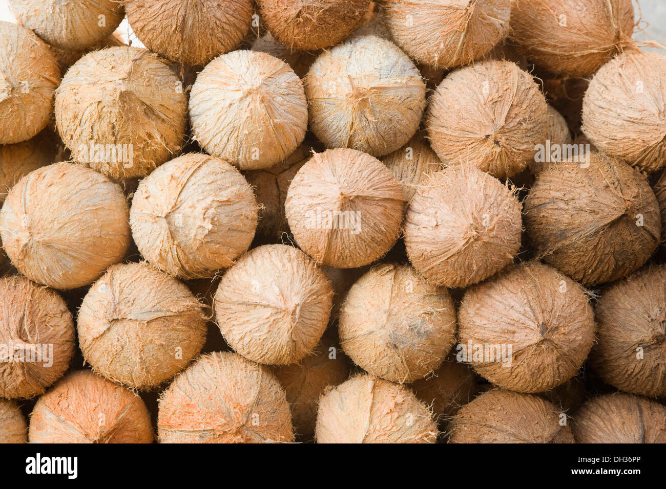 Small coconuts hi-res stock photography and images - Alamy