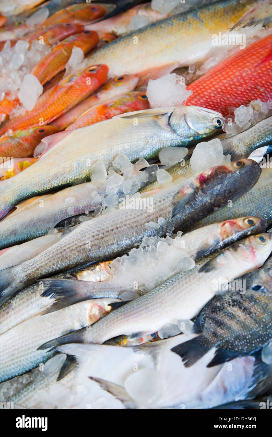 High angle view of dead fish at a market stall, Cochin, Kerala, India ...