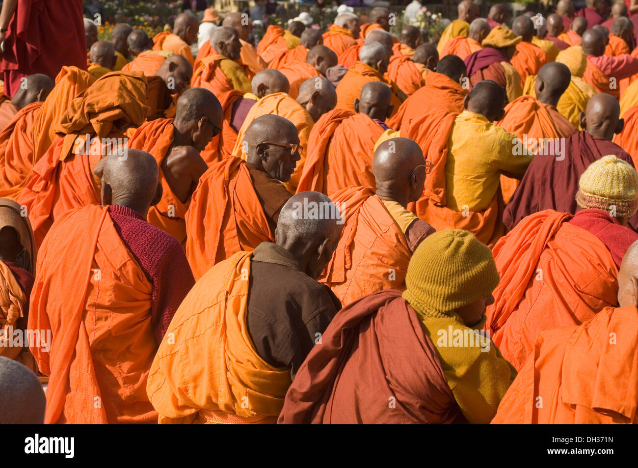 Rear view of monks sitting, Gaya, Bihar, India Stock Photo - Alamy