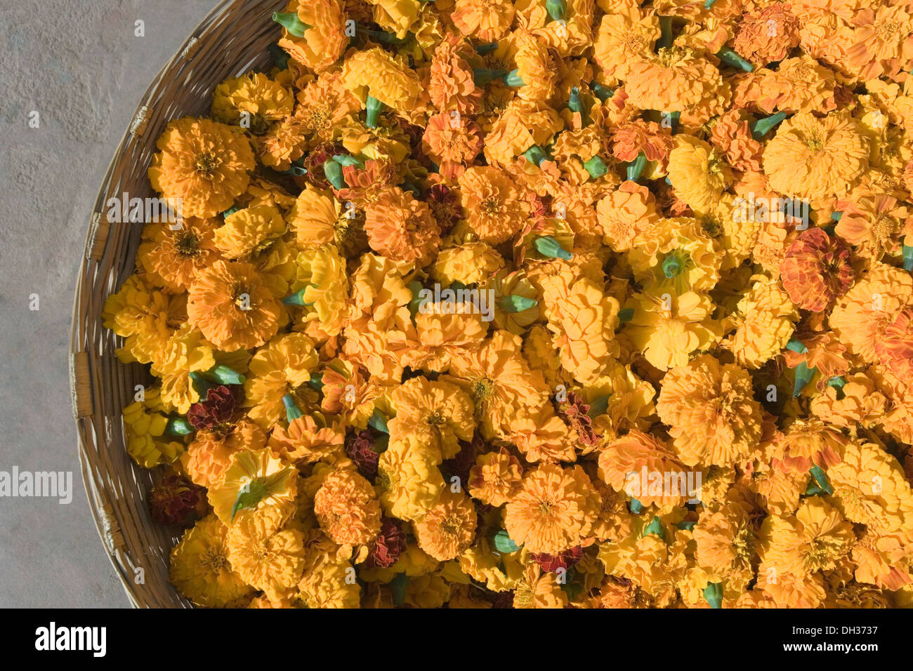 Rfbatch9 hi-res stock photography and images - Alamy