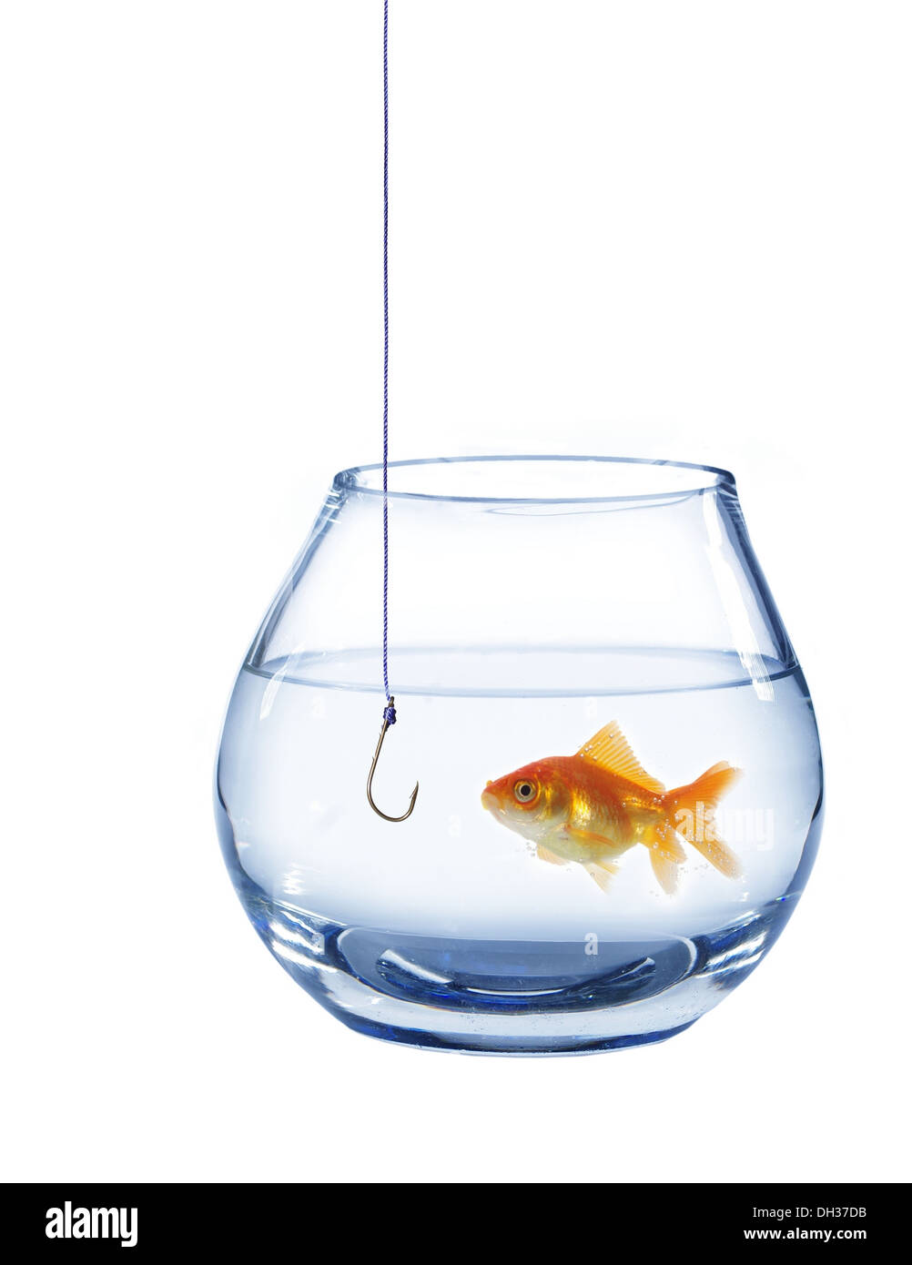Empty fish tank hi-res stock photography and images - Alamy