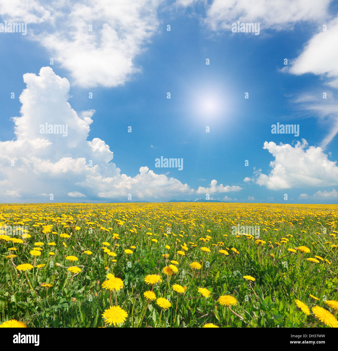 Amazing Nature 3 Stock Photo - Alamy