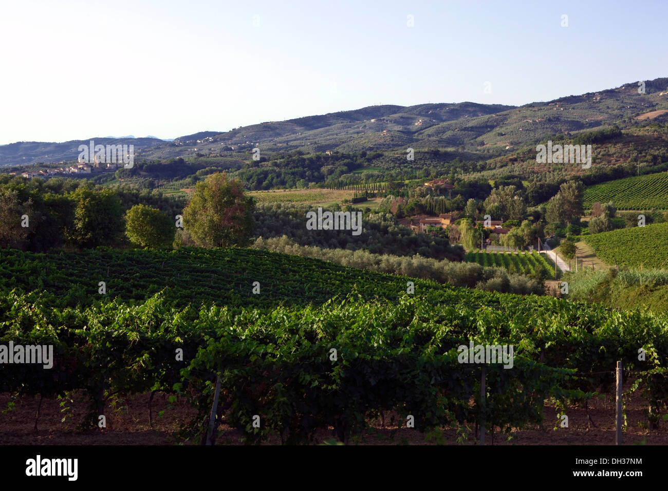 A typically traditional Tuscan hillside view Stock Photo - Alamy