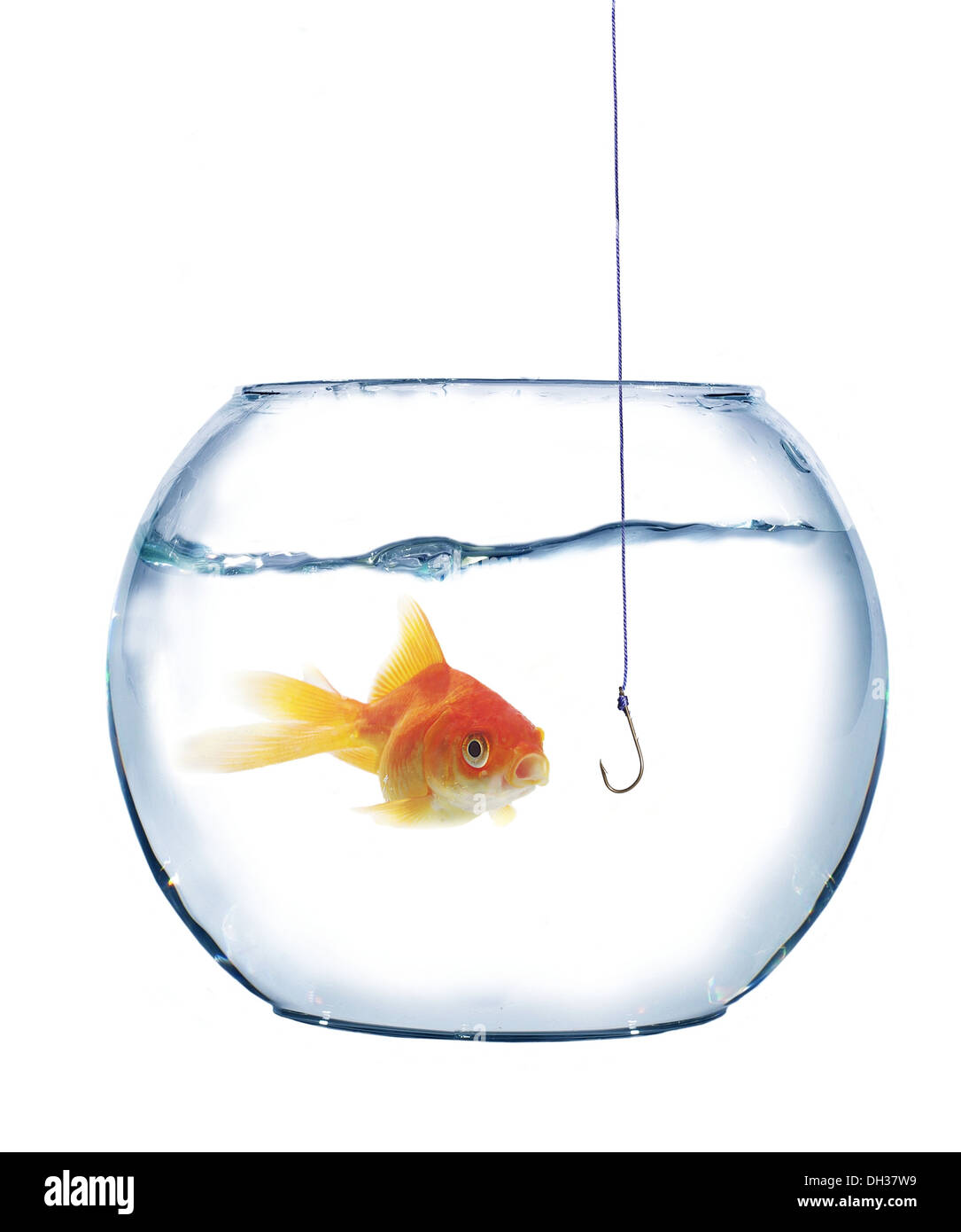 Empty fish tank hi-res stock photography and images - Alamy