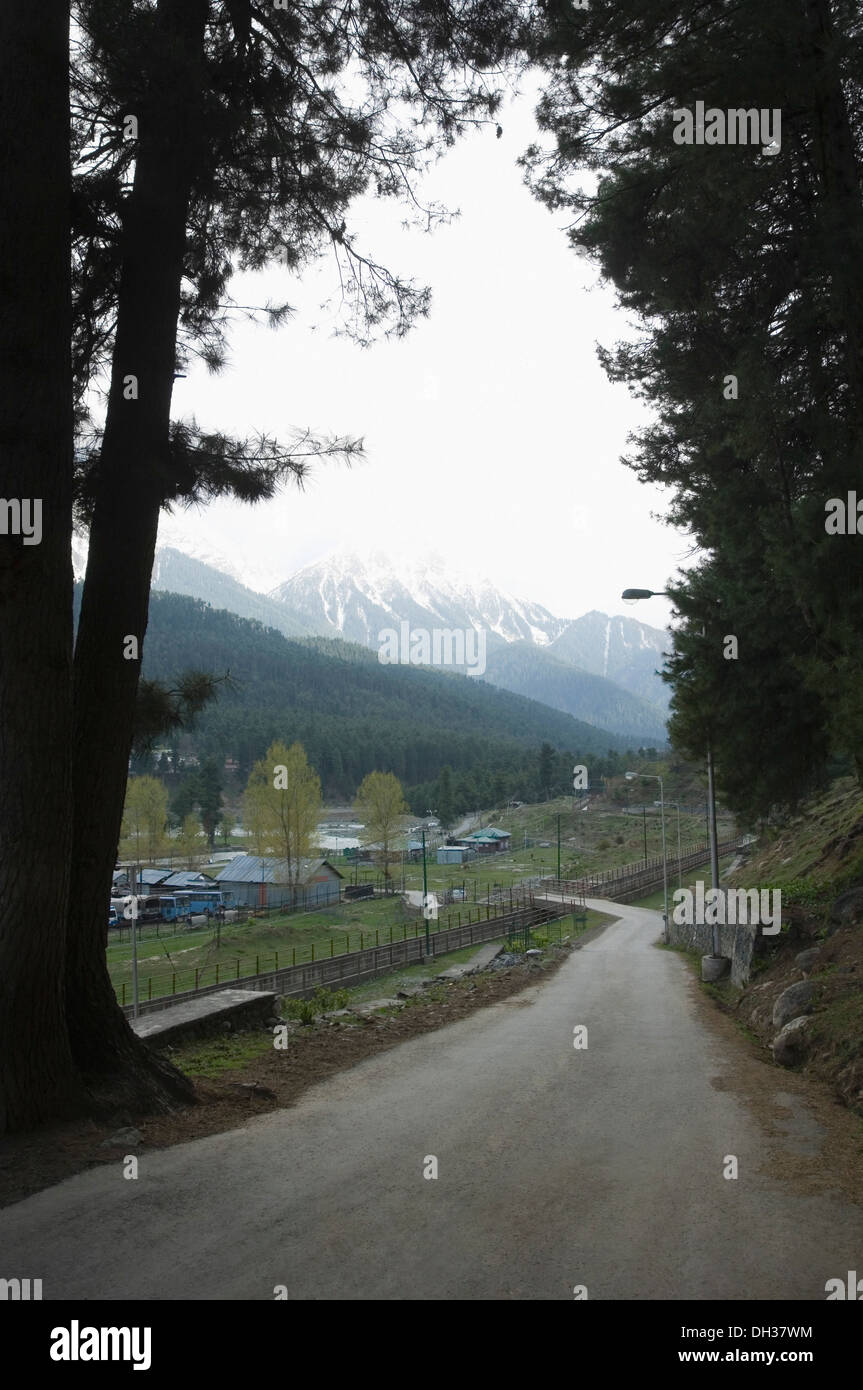 Pahalgam kashmir india hi-res stock photography and images - Alamy