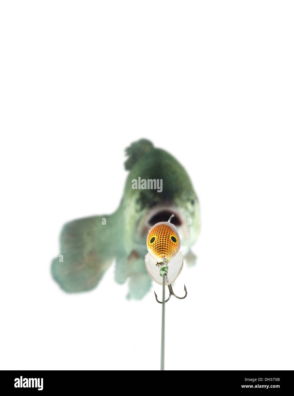 Trout fishing hook hi-res stock photography and images - Alamy