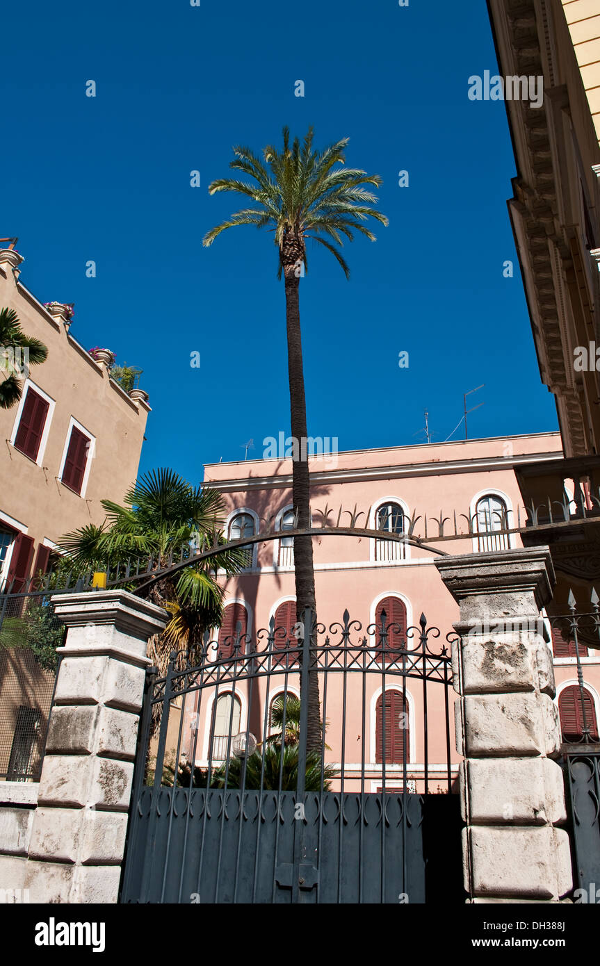 Courtyard with palm tree hi-res stock photography and images - Alamy
