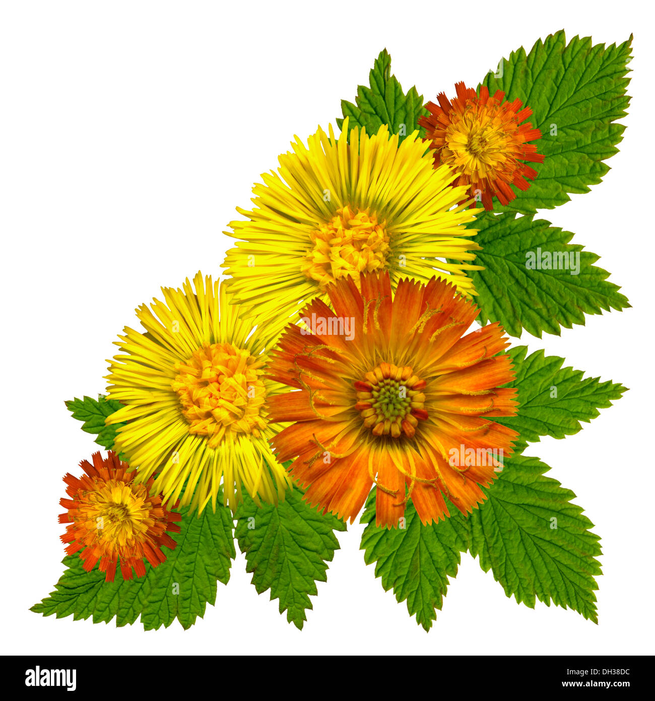 Yellow corner hi-res stock photography and images - Alamy