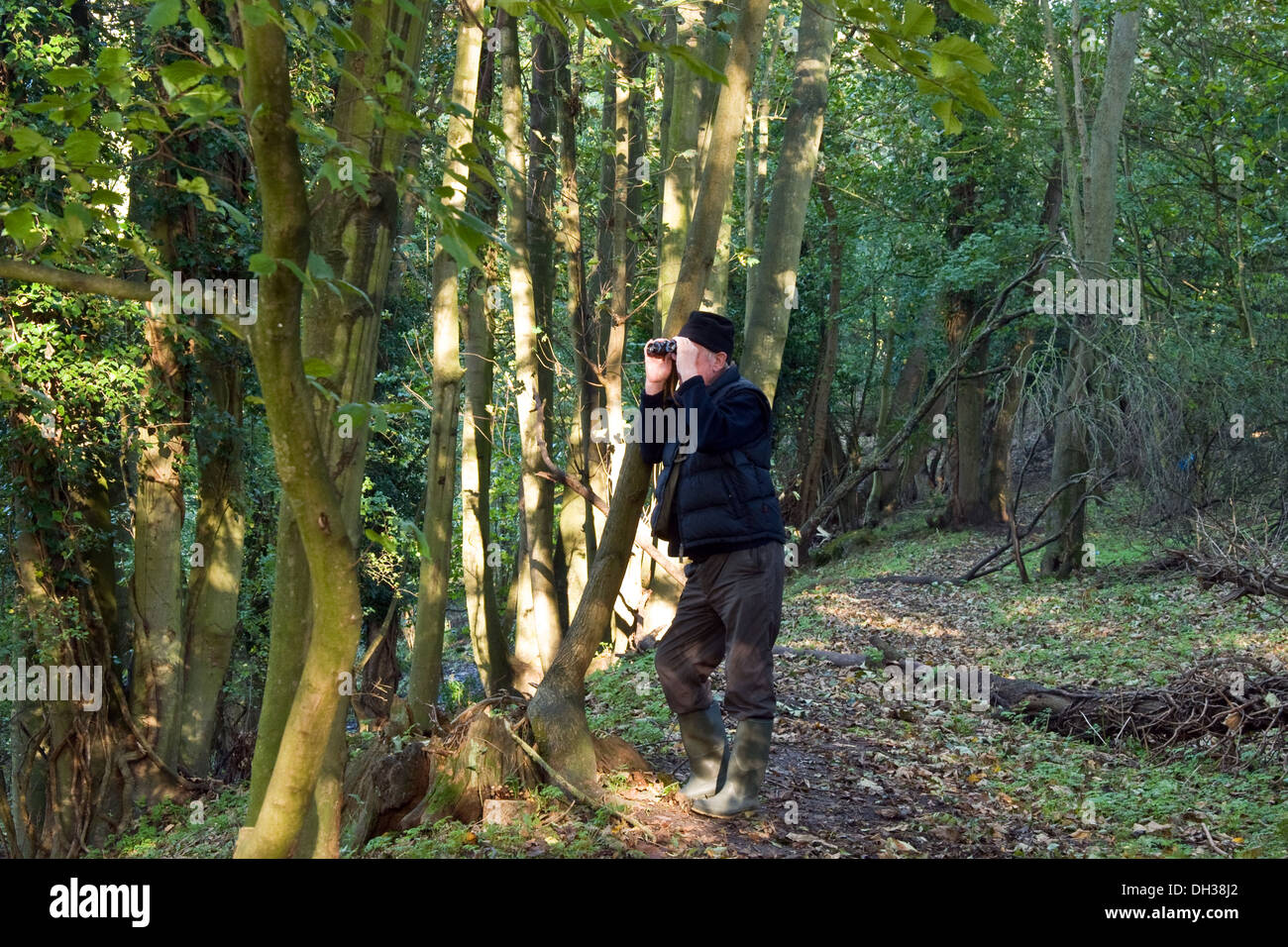 Man birdwatching hi-res stock photography and images - Alamy