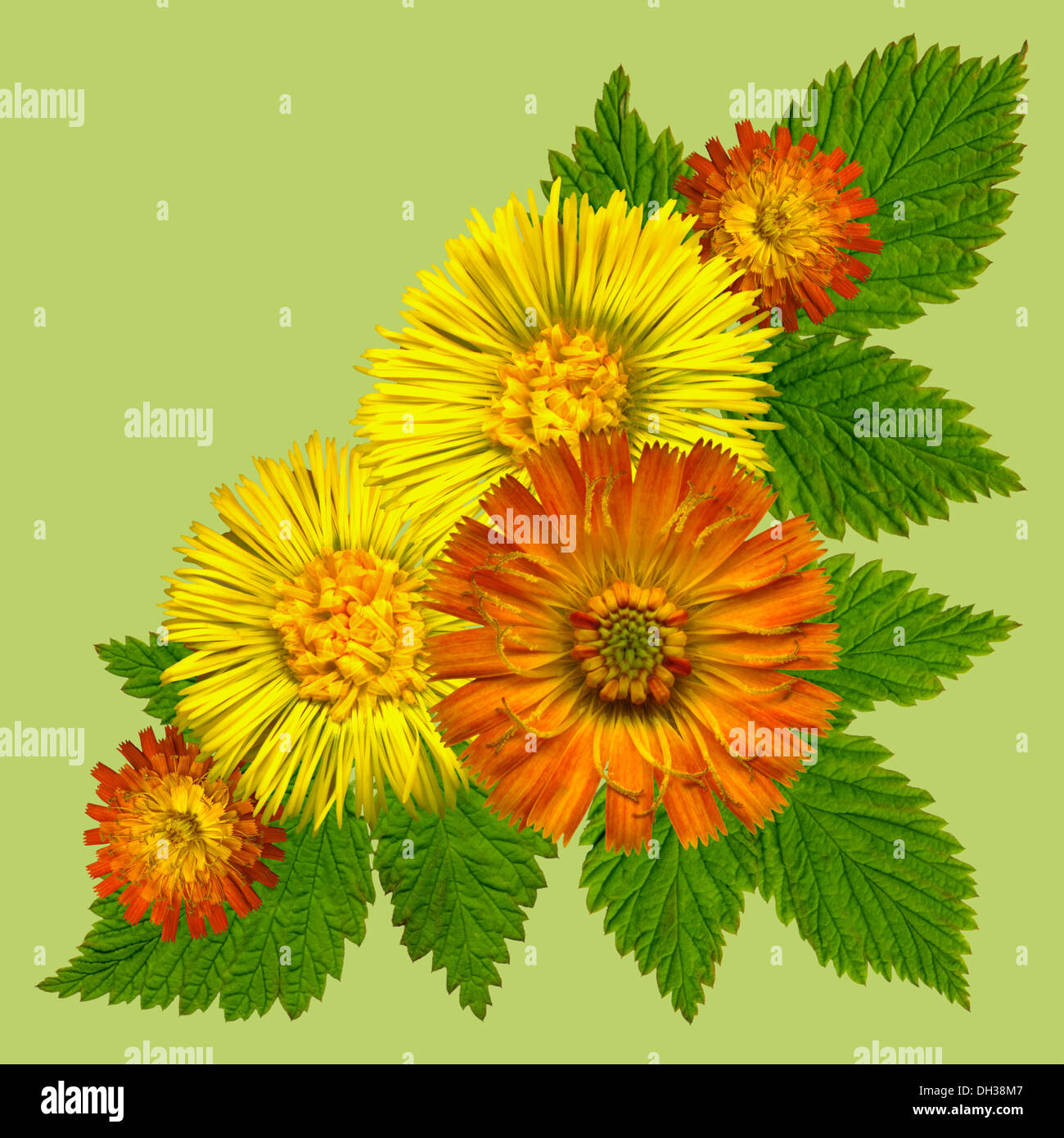 Yellow corner hi-res stock photography and images - Alamy