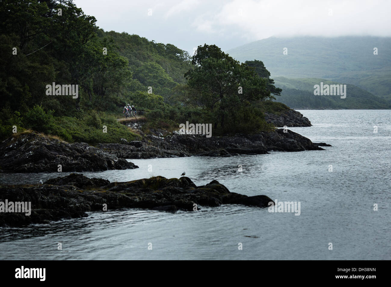 River mountain forest scotland hi-res stock photography and images - Alamy
