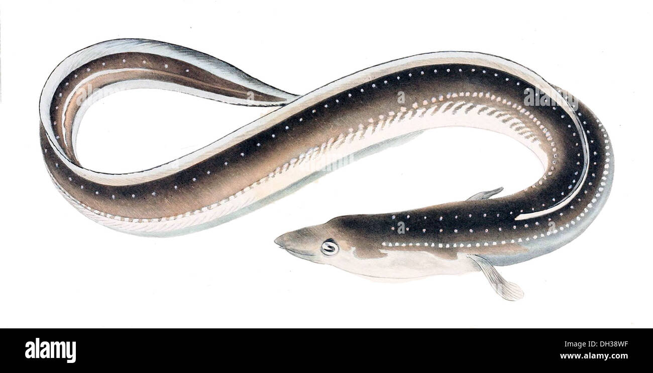 856 Cut Out Stock Images & Pictures - Alamy