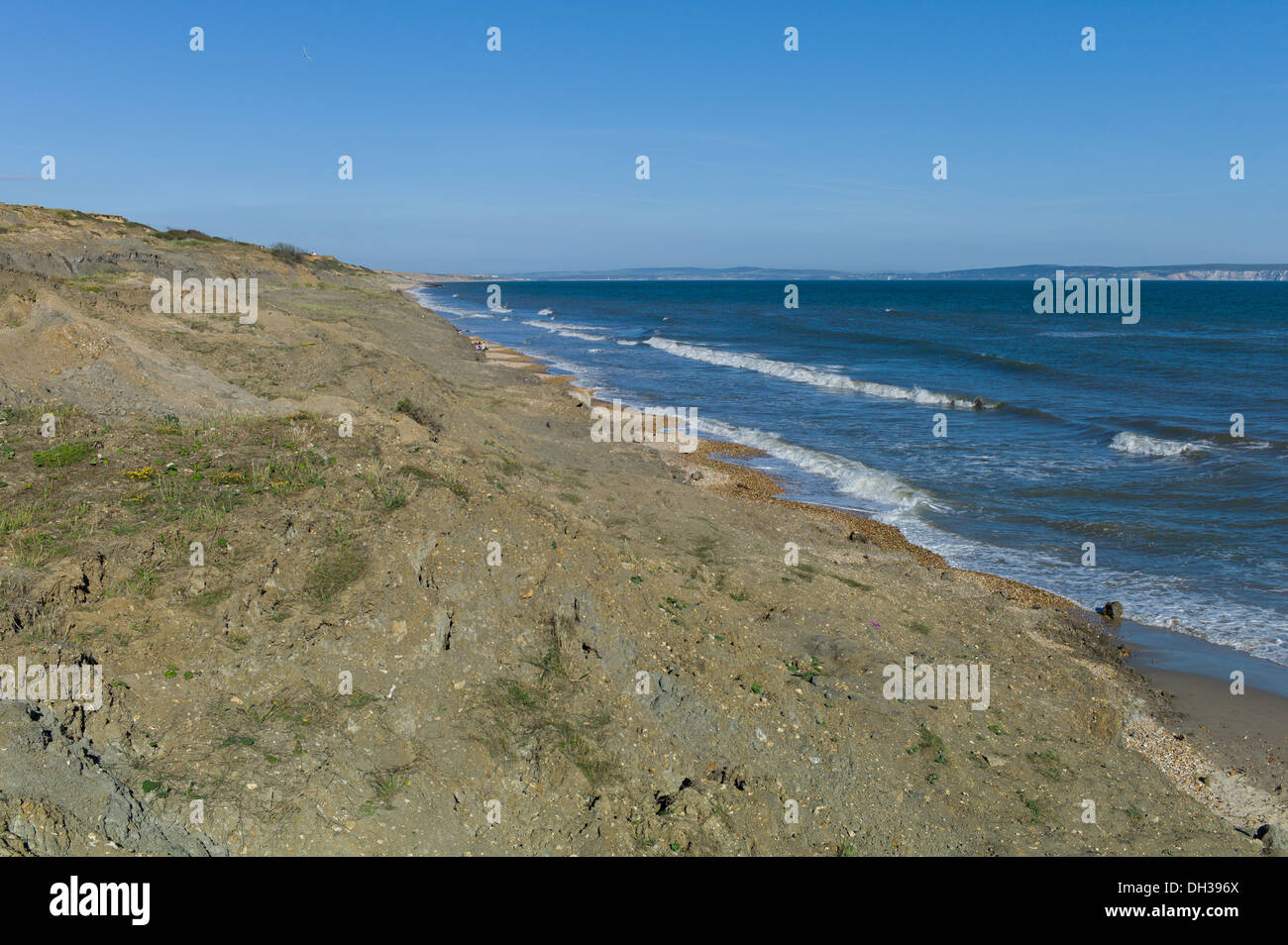 Pleistocene Beach High Resolution Stock Photography and Images - Alamy