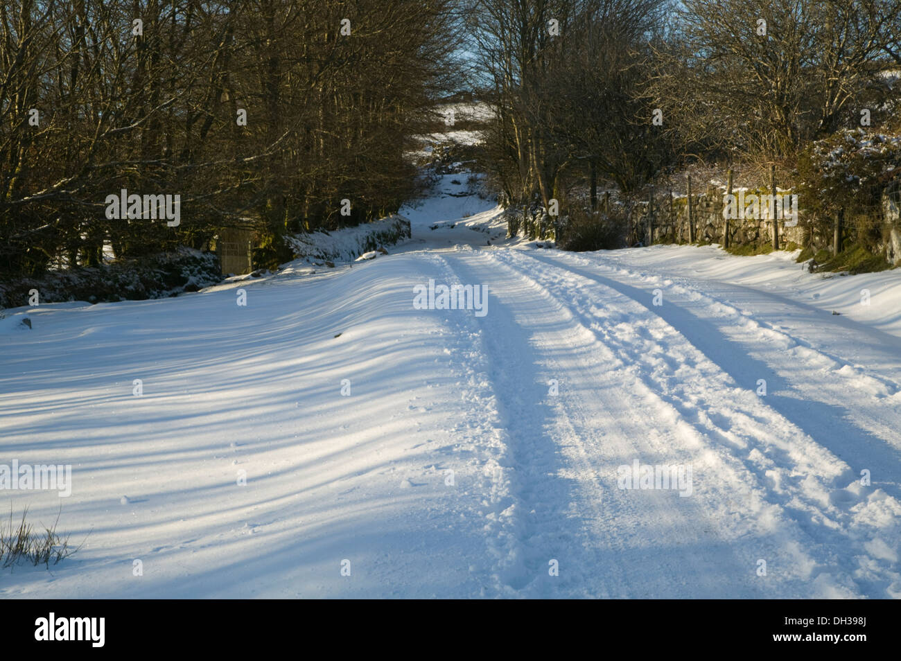 A Devon lane in snowy conditions, near Postbridge, in Dartmoor National ...