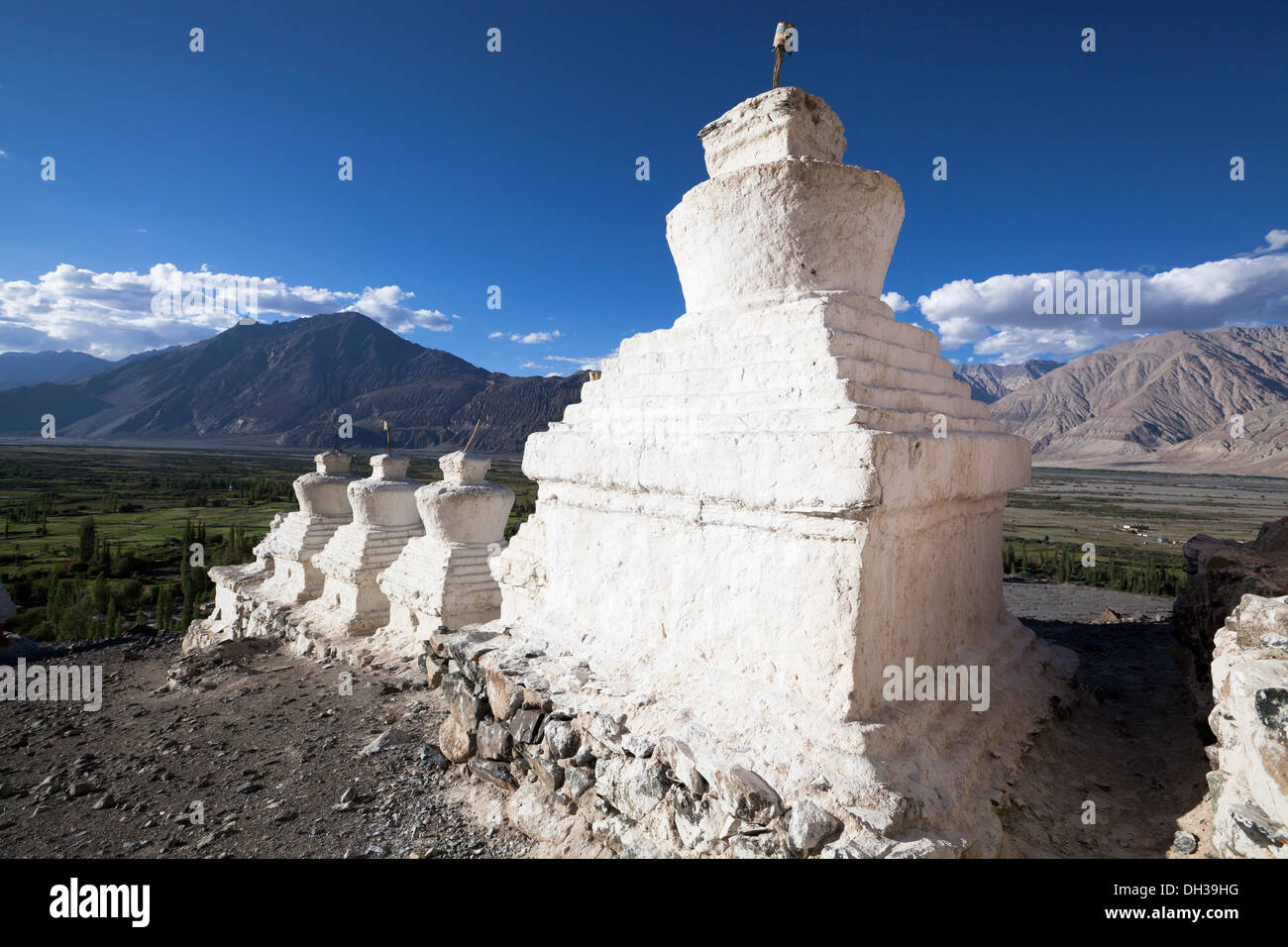 Buddhist Stupas near Diskit monastery, Nubrah Valley, Ladakh, Northern ...
