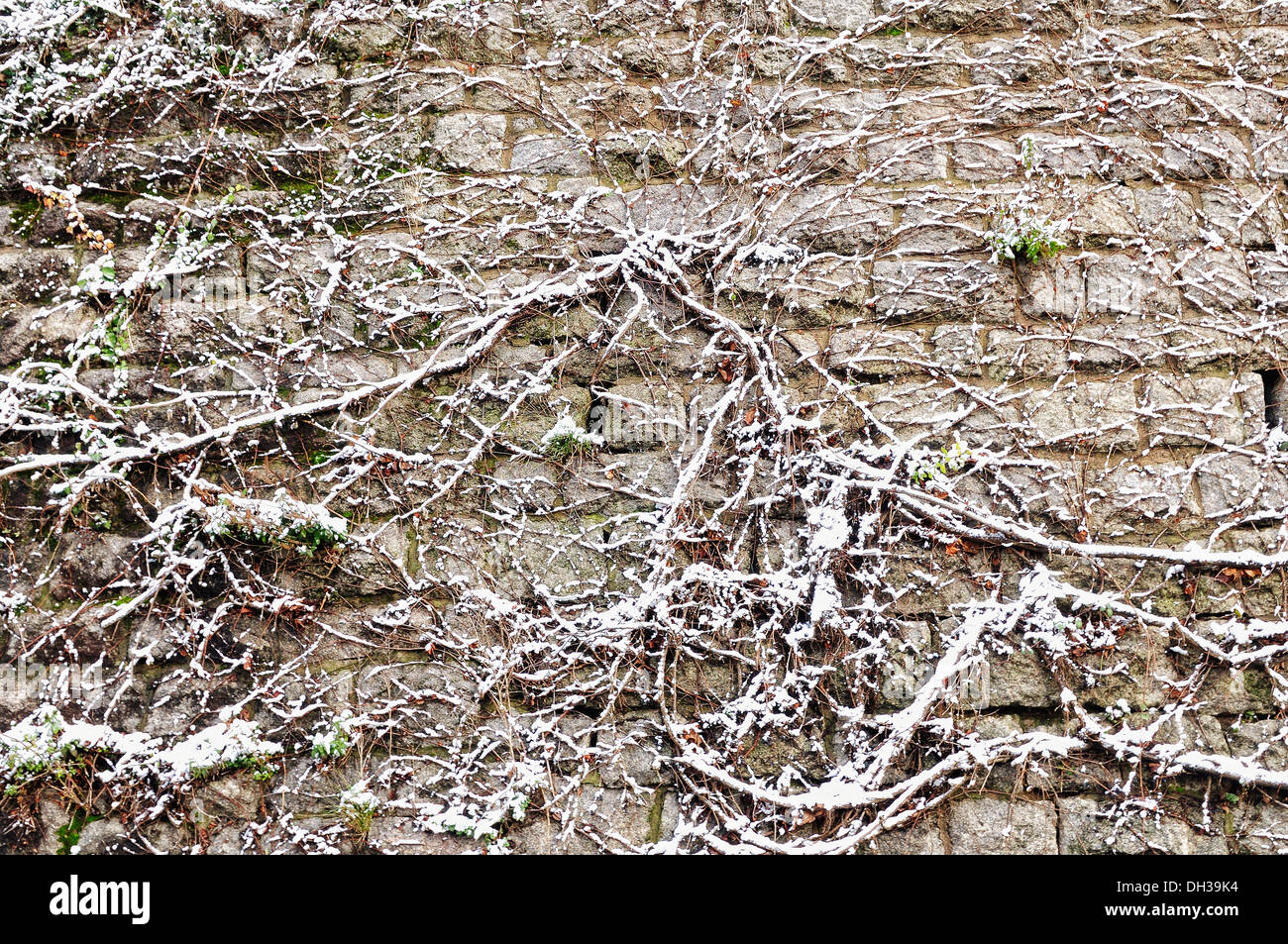 Snow wall structure Stock Photo - Alamy
