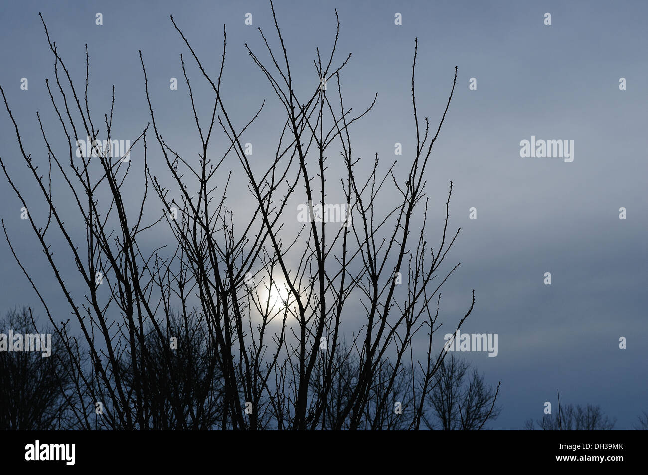 Hiding behind sun hi-res stock photography and images - Alamy