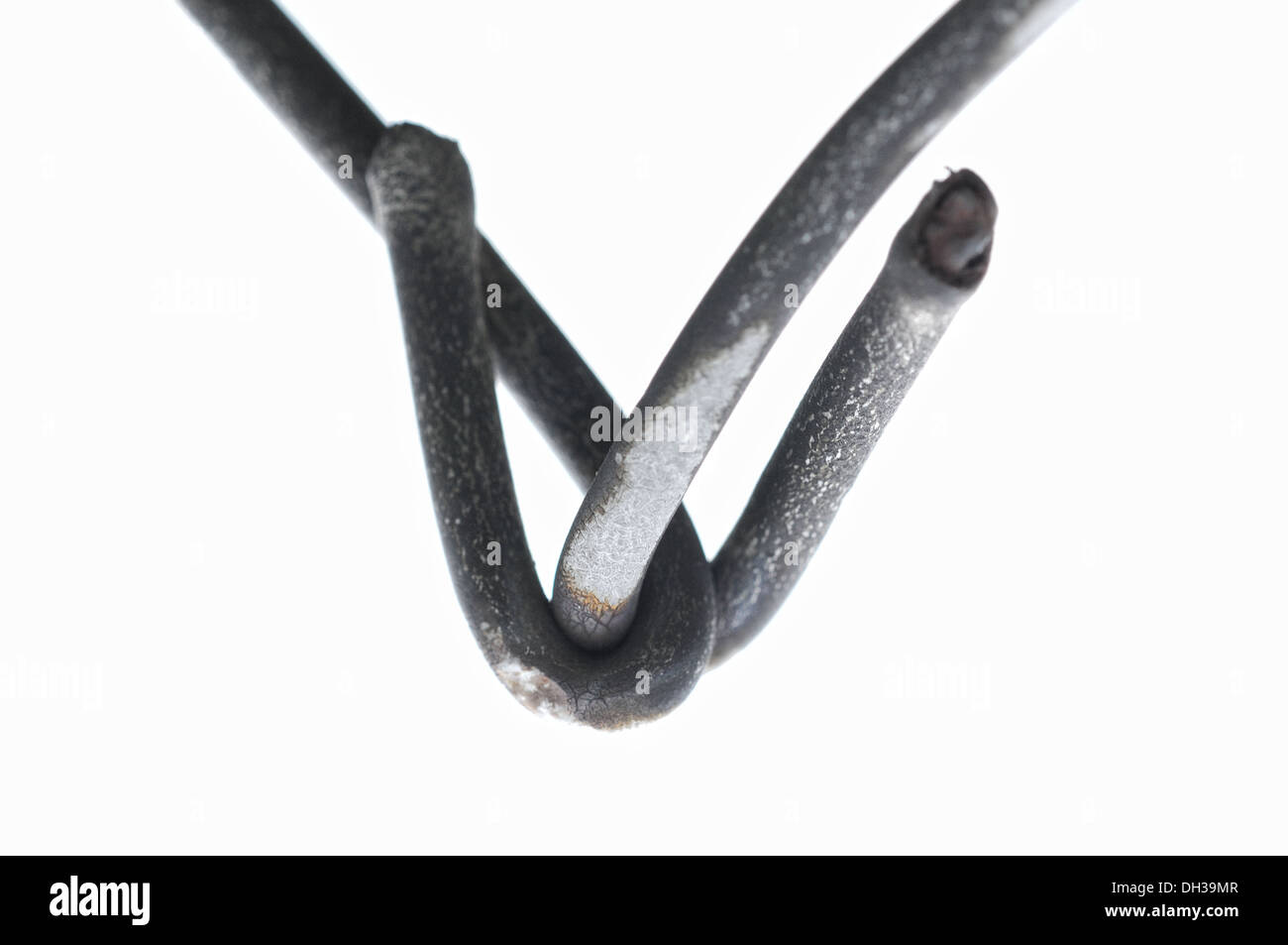 Bent wire details hi-res stock photography and images - Alamy