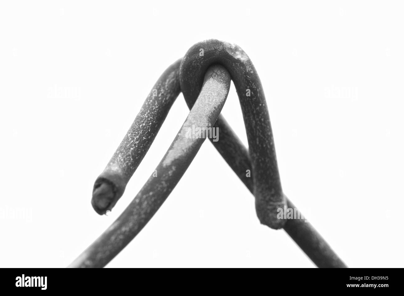 Black wire mesh grid Cut Out Stock Images & Pictures - Alamy