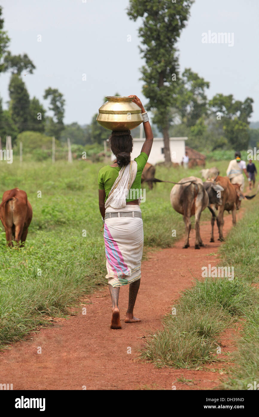Tribal woman carrying drinking water. Baiga Tribe, Chada village ...