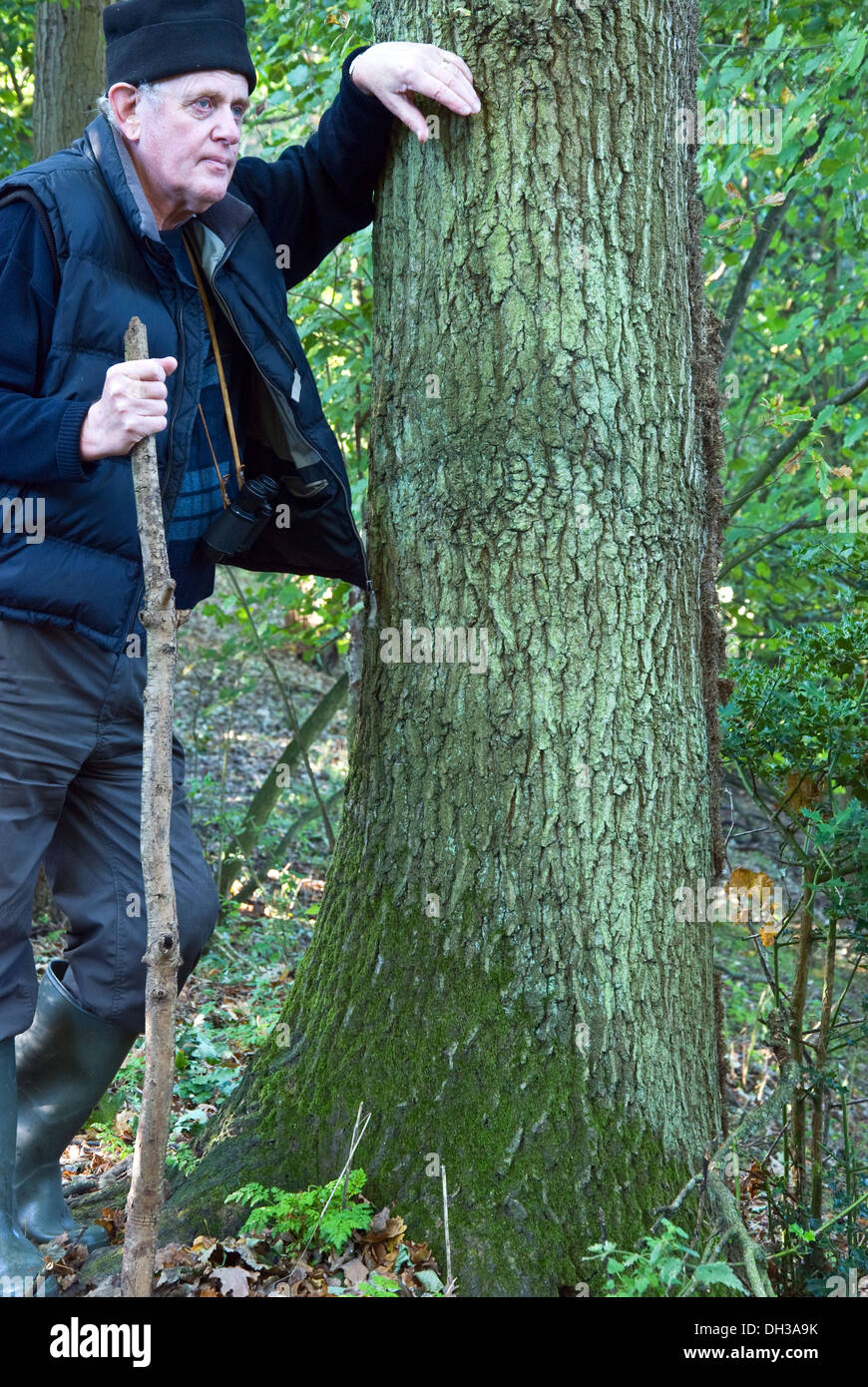Mature man resting against a tree while walking in the countryside ...
