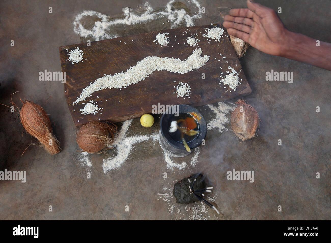 Worshiping snake God. Baiga Tribe, Chada village, Madhya Pradesh, India ...