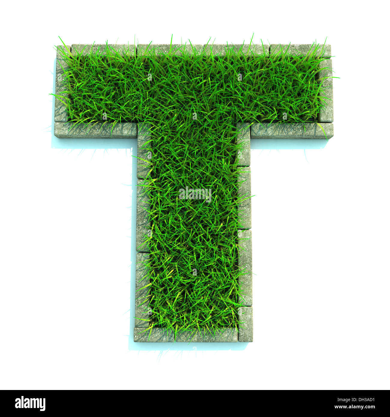 The Letter T Designs In Green
