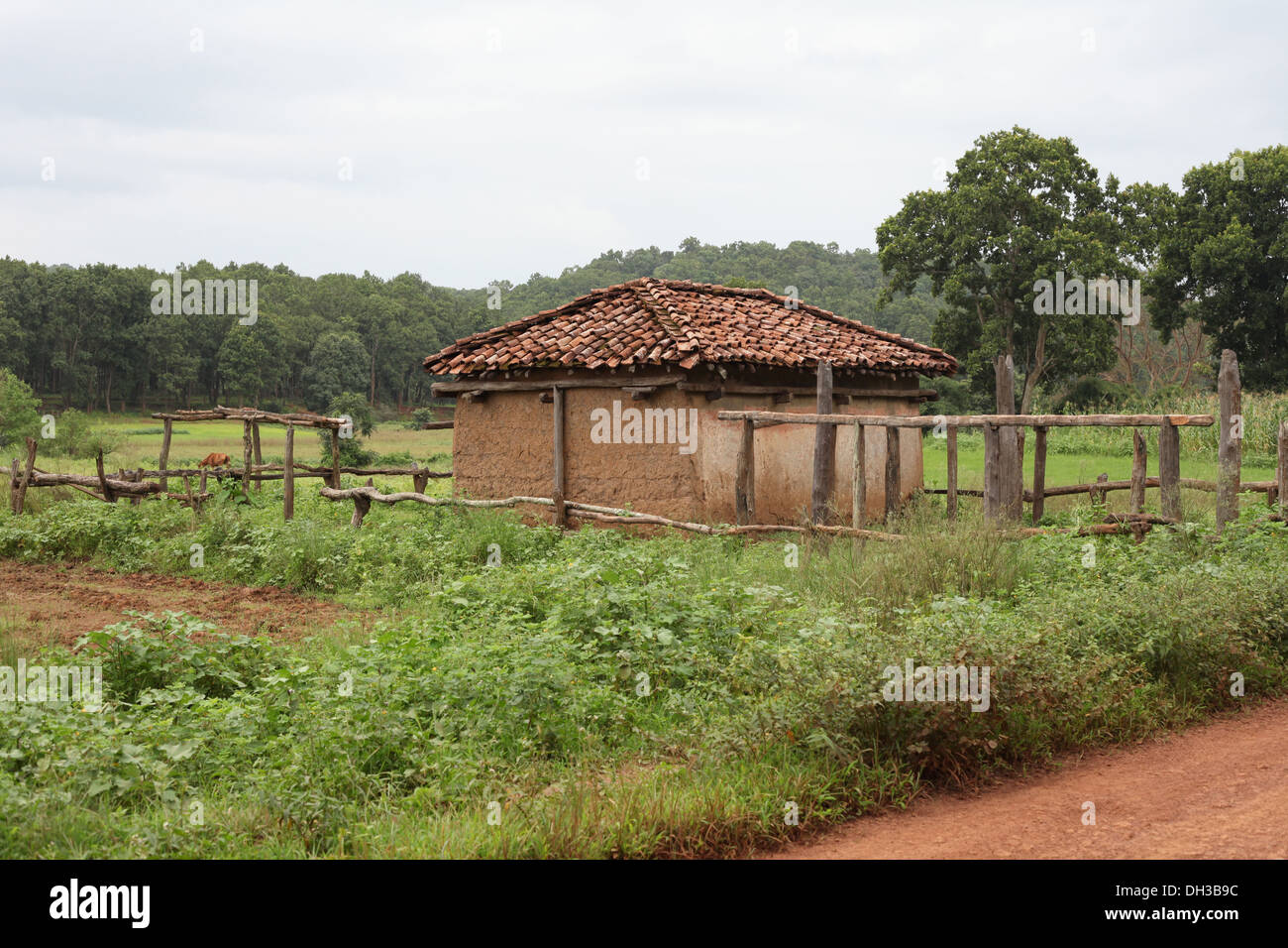 Tribal house baiga tribe pradesh hi-res stock photography and images ...