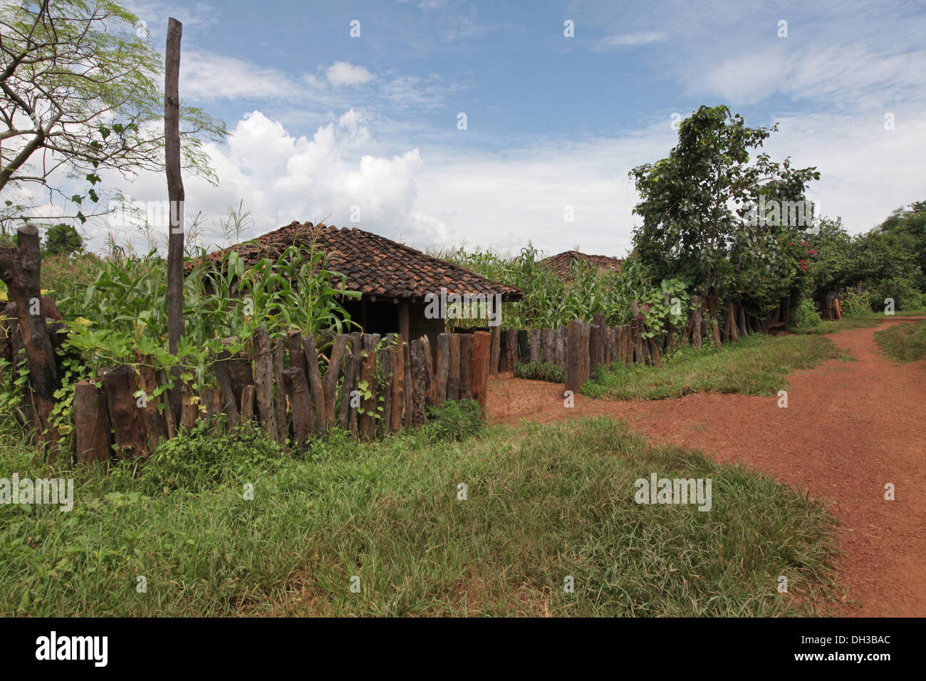 Tribal house baiga tribe pradesh hi-res stock photography and images ...