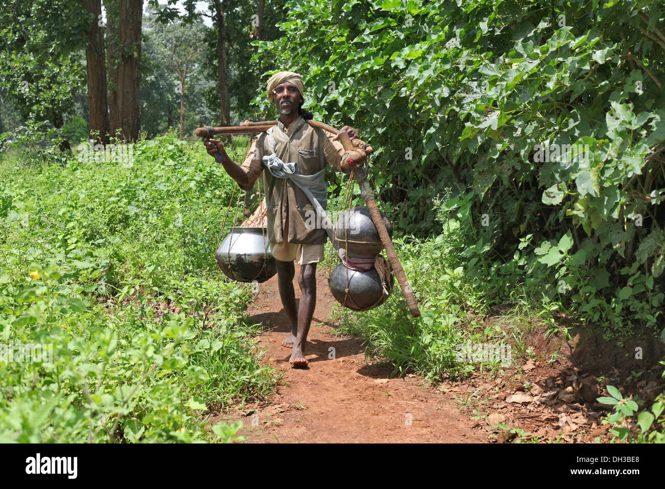 Baiga man carrying mahua. Baiga Tribe, Chada village, Madhya Pradesh ...