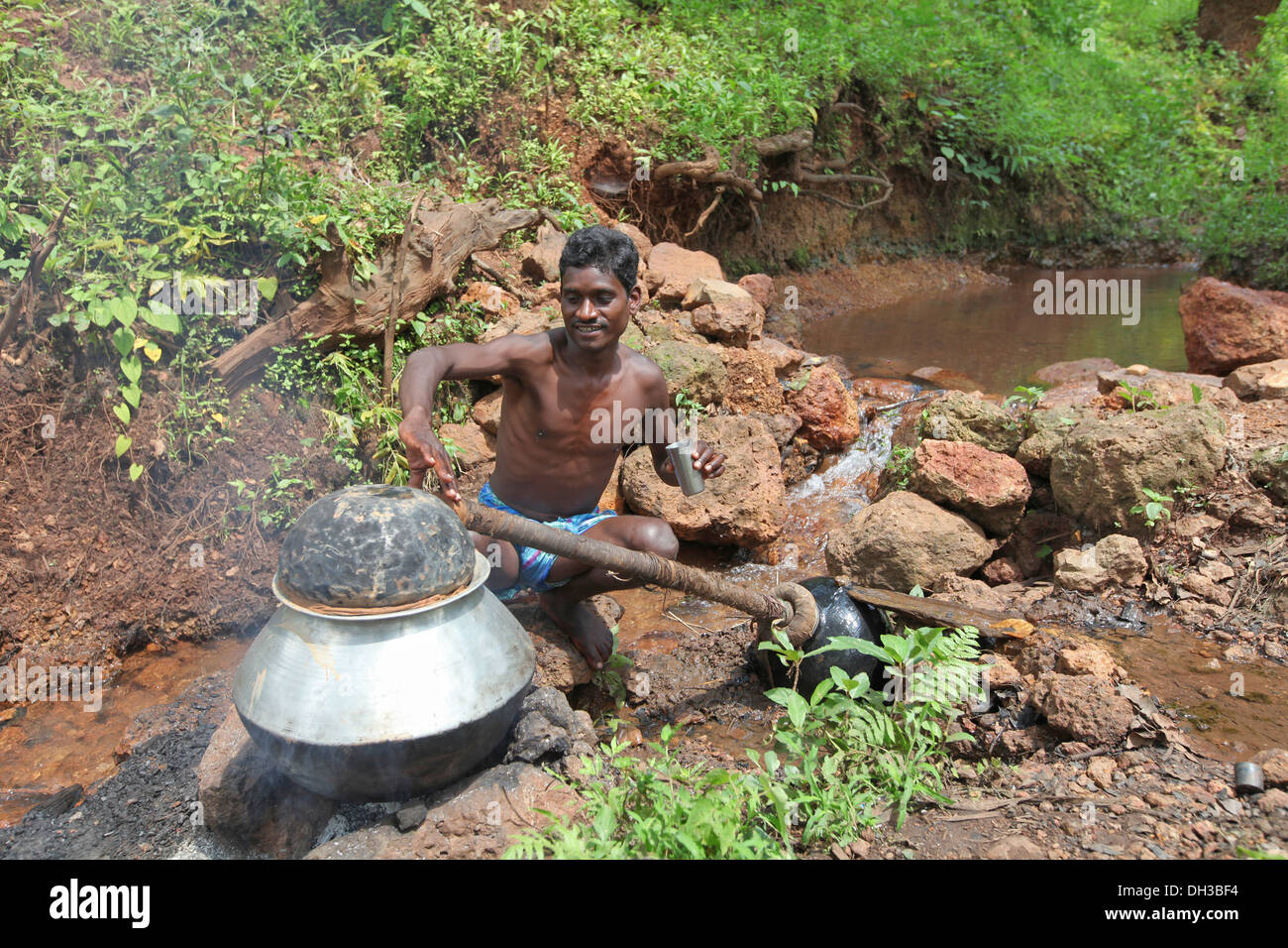 Baiga men drinking mahua Liquor. Baiga Tribe, Chada village, Madhya ...