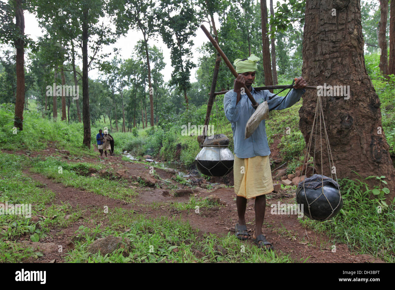 Baiga man carrying mahua Liquor. Baiga Tribe, Chada village, Madhya ...