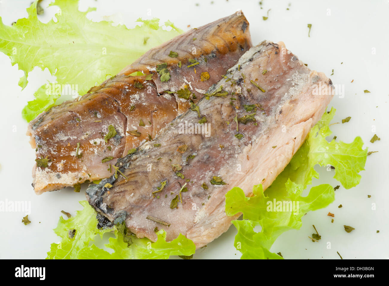 mackerel fillets on a white plate Stock Photo - Alamy