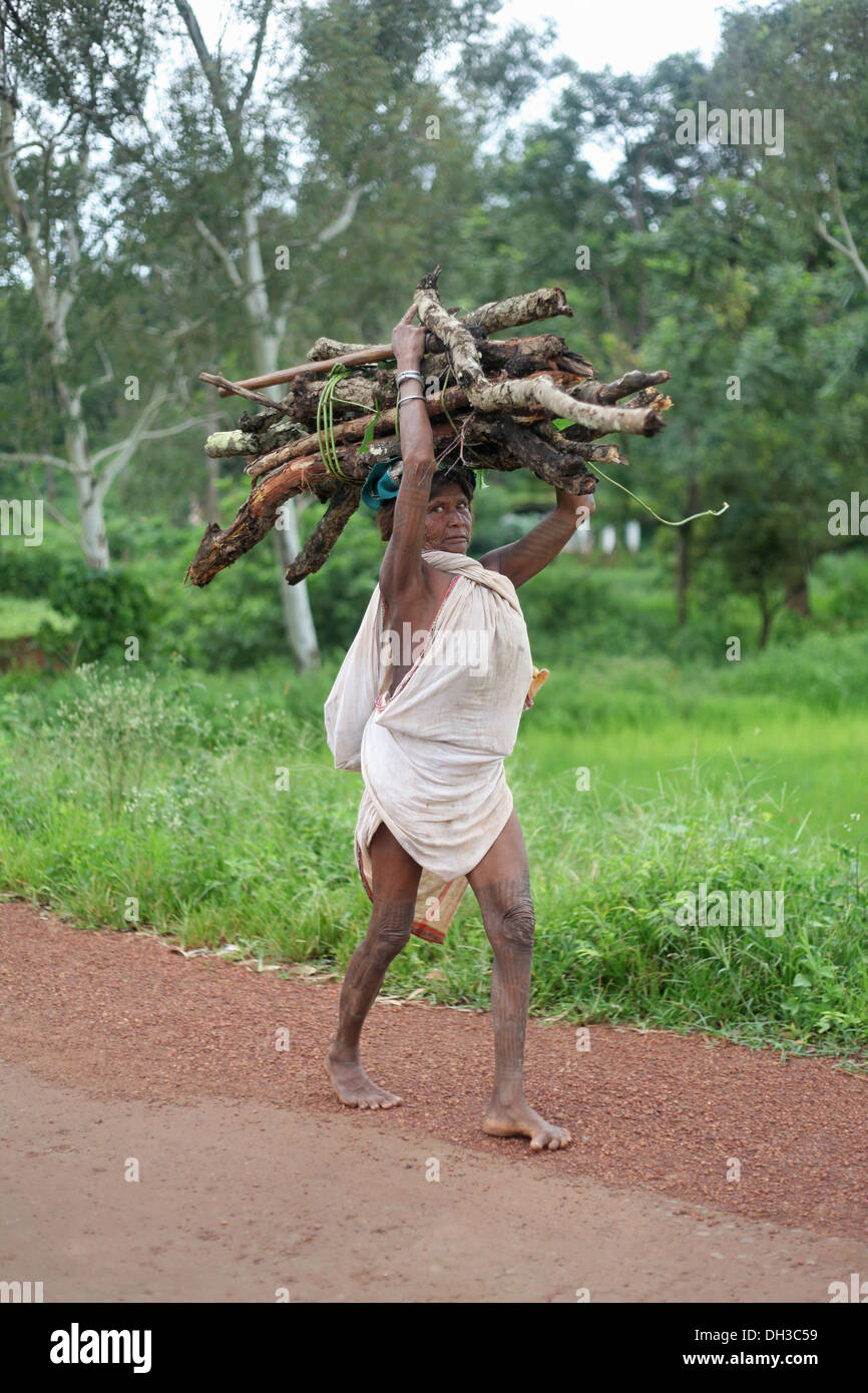 Old woman carrying wood hi-res stock photography and images - Alamy