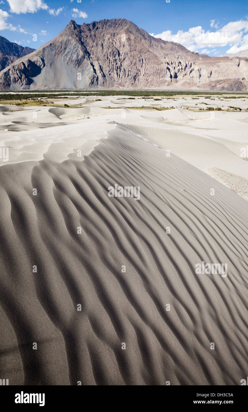 Sand dunes at Hunder, Nubrah Valley, Ladakh, Northern India Stock Photo ...