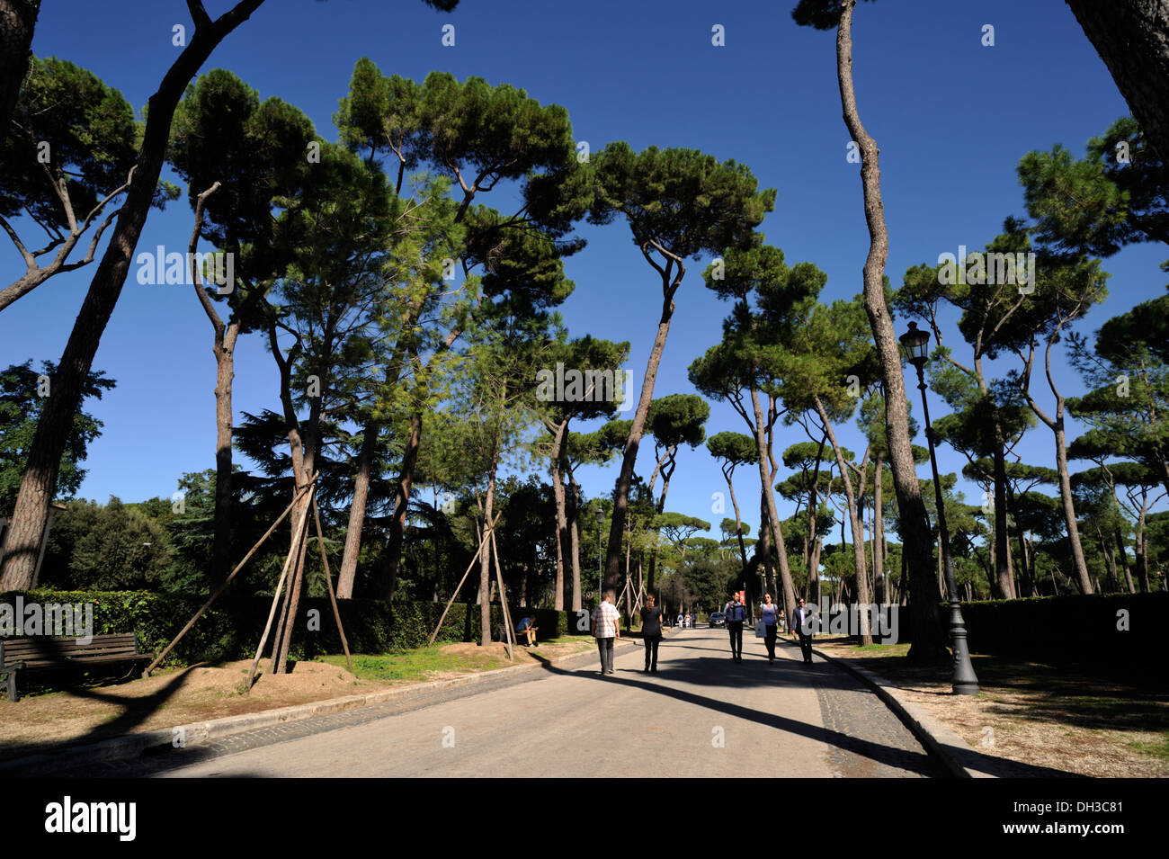 Villa borghese pine trees hi-res stock photography and images - Alamy