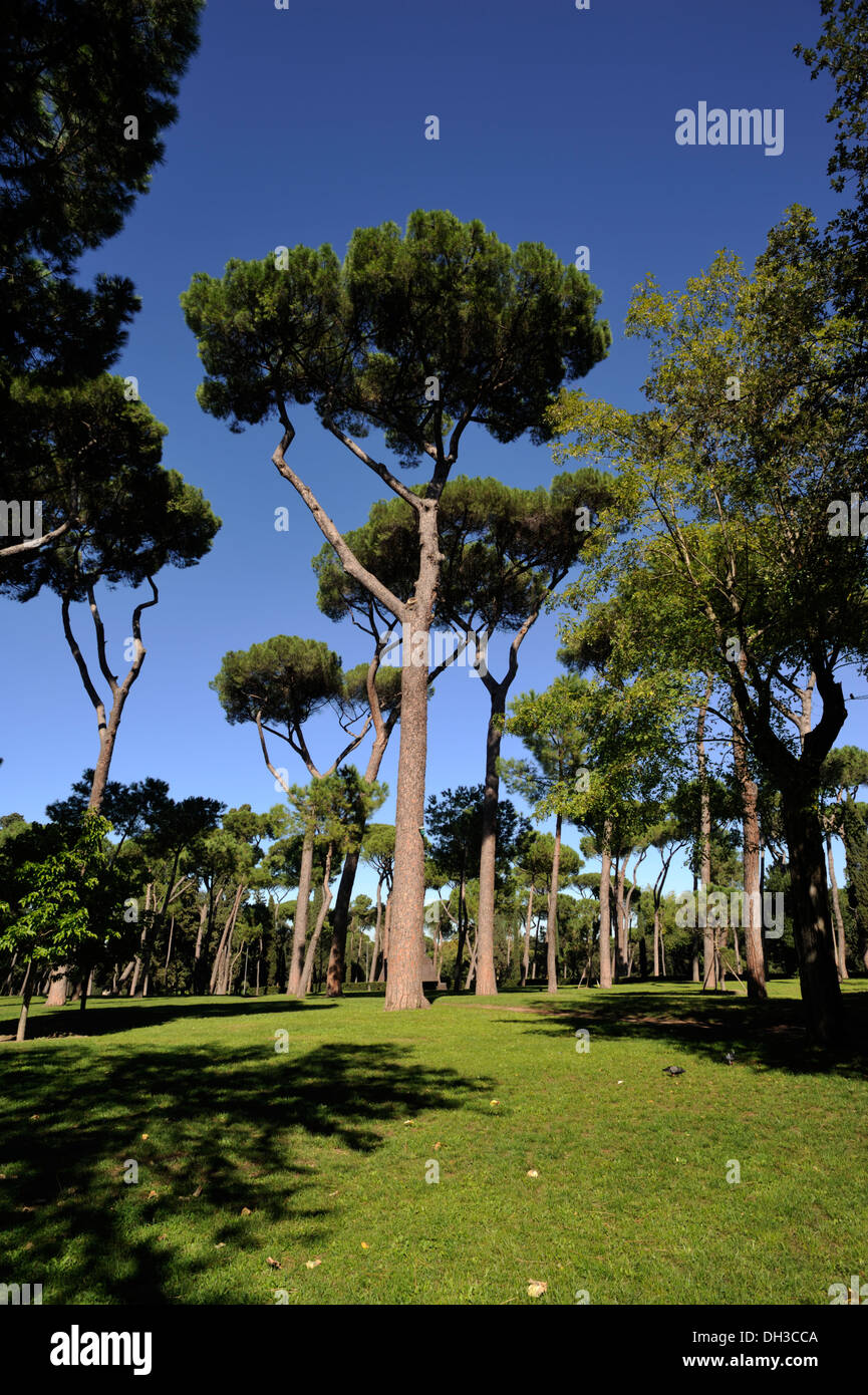 Villa borghese pine trees hi-res stock photography and images - Alamy